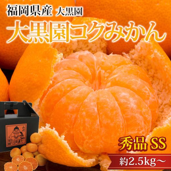 大黒園のみかんは1人の生産者の農園で作られています。約9ha（東京ドーム約2個分）の広大な栽培面積を有し年間200〜250トンを生産します。大黒園のみかんは、皮が薄く味が濃いのが特徴で、『コクみかん』は甘さと酸味のバランスが絶妙なみかんです...