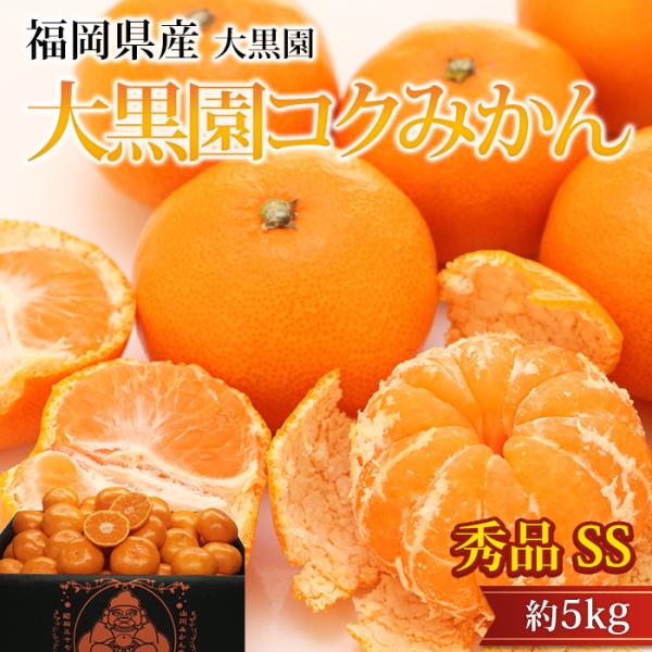 大黒園のみかんは1人の生産者の農園で作られています。約9ha（東京ドーム約2個分）の広大な栽培面積を有し年間200〜250トンを生産します。大黒園のみかんは、皮が薄く味が濃いのが特徴で、『コクみかん』は甘さと酸味のバランスが絶妙なみかんです...