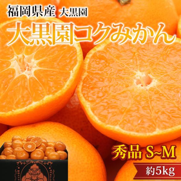 大黒園のみかんは1人の生産者の農園で作られています。約9ha（東京ドーム約2個分）の広大な栽培面積を有し年間200〜250トンを生産します。大黒園のみかんは、皮が薄く味が濃いのが特徴で、『コクみかん』は甘さと酸味のバランスが絶妙なみかんです...