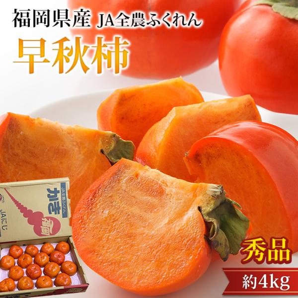早秋柿は、丸みを帯びた扁平型で鮮やかなオレンジ色の柿で、果肉はやや柔らかめで果汁が多く、甘味が強いのが特長です。側面が少しデコボコとしていることもあります。糖度は15度ほどにもなるとても甘い柿です。かき/カキ/フルーツ/果物/ギフト/贈答/...