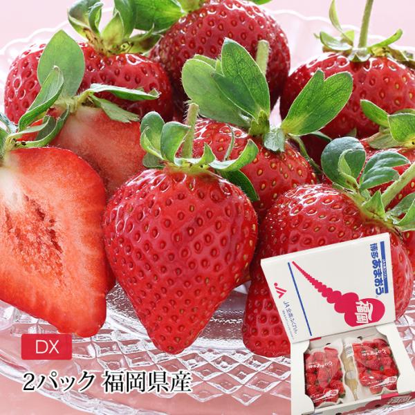 あまおうは福岡県で誕生したブランドいちごで、とよのかの後継品種として品種改良、育成が進められてきたいちごです。あかくて、まるくて、おおきくて、うまい、いちごが「あまおう」です。DXはあまおうの中でも形の整ったギフト用にも最適なグレードなので...