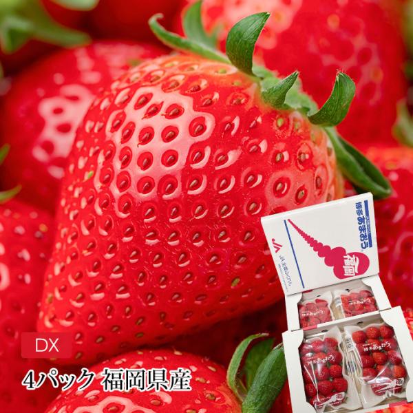 あまおうは福岡県で誕生したブランドいちごで、とよのかの後継品種として品種改良、育成が進められてきたいちごです。あかくて、まるくて、おおきくて、うまい、いちごが「あまおう」です。DXはあまおうの中でも形の整ったギフト用にも最適なグレードなので...