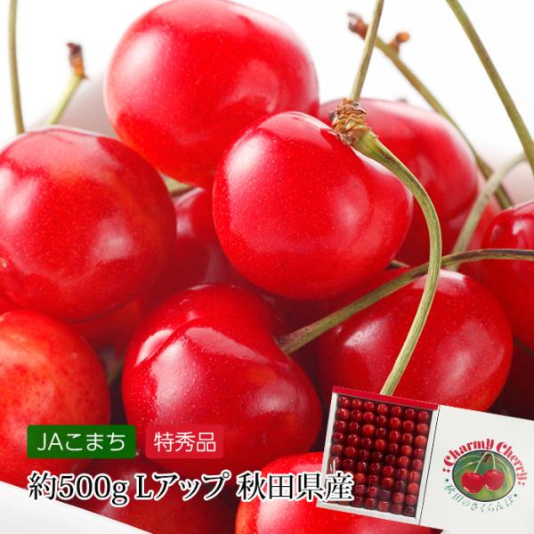 排水の良い土壌条件と昼夜の寒暖差による恵まれた自然環境と、丁寧な栽培管理で育て上げられたさくらんぼは色鮮やかで初夏の訪れをつげてくれます。一粒一粒厳選した特秀品は、最高級品として全国の消費者から大好評です。サクランボ/さとうにしき/べにしゅ...