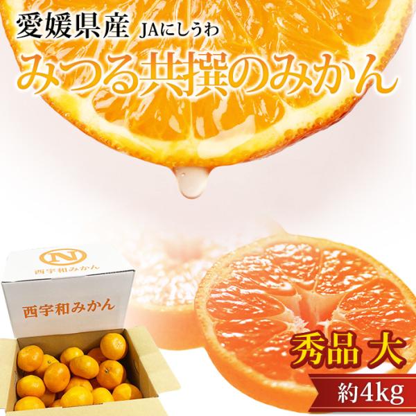 糖度・酸度のバランスが最も優れたものをセレクトしたみつる共撰自信の「秀品」まさにおいしさの中に、ひたむきな愛情が醸したやさしさを感じていただけるみかんなのです。愛媛みかんの味をお手軽にお楽しみ頂けます。みつる共撰「秀品」の選果基準を満たした...