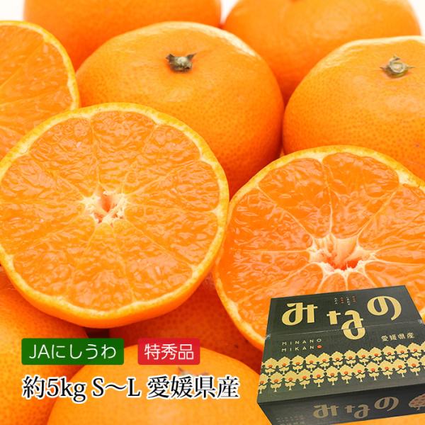 「みなの」みかんは海風とさんさんと降り注ぐ太陽の光によって育てられました。有機肥料を使い栽培されたみなのは安心、安全、そして美味しいみかんです。贈答用にしても◎宇和海の美しい自然と温暖な気候が特徴の地域で育った絶品みかんを是非ご堪能ください...