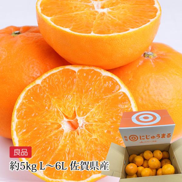 「にじゅうまる」は、令和3年2月10日にデビューした佐賀県生まれの新ブランドの柑橘です。特徴として食べごたえのある大きさと、爽快な香り。プチっとした食感と、一気にあふれるジューシーな果汁。豊かな甘みと、ほどよい酸味。絶妙なバランスで美味しさ...