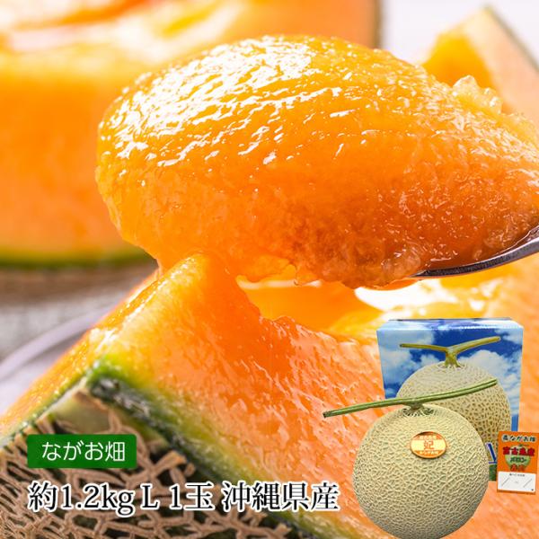 長尾さんが丹精を込めて栽培・収穫したメロン。宮古島より航空便で直接お届けします。糖度は厳密に精査されて、条件を満たしたものだけが「宮古島メロン」として認定され、出荷されます。もともと酸味の少ないメロンだからこそ、糖度の高さが美味しさにつなが...