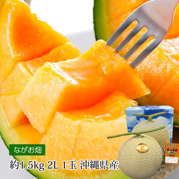 長尾さんが丹精を込めて栽培・収穫したメロン。宮古島より航空便で直接お届けします。糖度は厳密に精査されて、条件を満たしたものだけが「宮古島メロン」として認定され、出荷されます。もともと酸味の少ないメロンだからこそ、糖度の高さが美味しさにつなが...