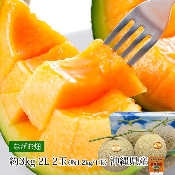 長尾さんが丹精を込めて栽培・収穫したメロン。宮古島より航空便で直接お届けします。糖度は厳密に精査されて、条件を満たしたものだけが「宮古島メロン」として認定され、出荷されます。もともと酸味の少ないメロンだからこそ、糖度の高さが美味しさにつなが...