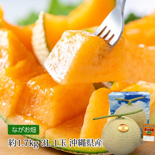 長尾さんが丹精を込めて栽培・収穫したメロン。宮古島より航空便で直接お届けします。糖度は厳密に精査されて、条件を満たしたものだけが「宮古島メロン」として認定され、出荷されます。もともと酸味の少ないメロンだからこそ、糖度の高さが美味しさにつなが...