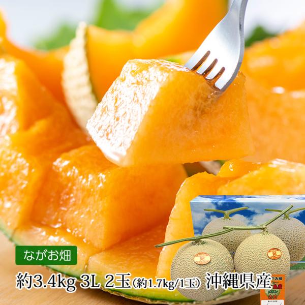 長尾さんが丹精を込めて栽培・収穫したメロン。宮古島より航空便で直接お届けします。糖度は厳密に精査されて、条件を満たしたものだけが「宮古島メロン」として認定され、出荷されます。もともと酸味の少ないメロンだからこそ、糖度の高さが美味しさにつなが...