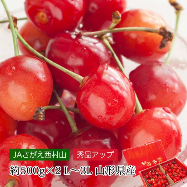 果肉はクリーム色でややかたく、比較的日持ちするほうです。佐藤錦より大玉で甘味が強く、はじけるような食感とたっぷりの果汁が魅力。収穫期が佐藤錦よりも遅いため出荷期、出荷量の伸長や、新たなお中元のギフト用としての需要拡大にも期待されています。サ...