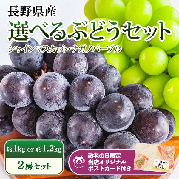 人気の高い「シャインマスカット」と長野県オリジナル品種「ナガノパープル」を4タイプの2房のセットにしました。2品種とも皮がなく食べやすいため、贈り物に最適です。 ブドウ/葡萄/シャイン/マスカット/お取り寄せ/果物/ギフト/贈答/プレゼント...
