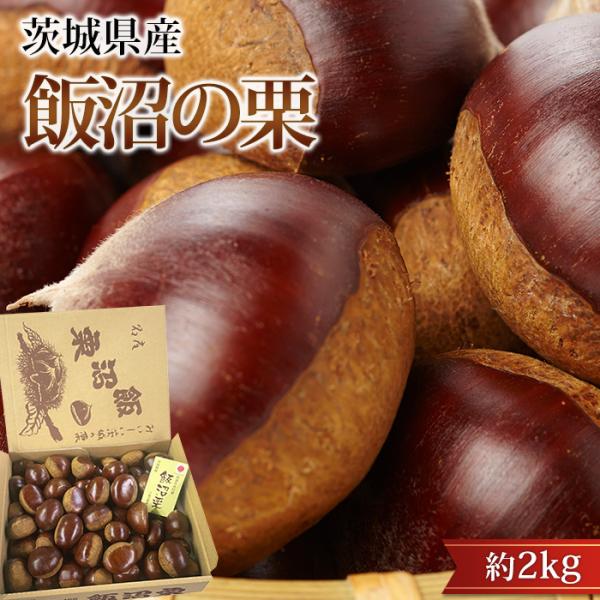 飯沼栗は一般的なクリとは異なり、通常1つの毬（イガ）に3個の果実が入るところを下飯沼栗生産販売組合員による「1毬1果」を目標とした栽培技術によって丸く大きな果実が多いことが特徴です。また、独自に開発した洗果機による全果洗浄や3回行う徹底した...