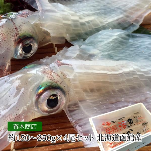 特殊なバルーンに入れて、鮮度を保ったまま全国各地へお届けいたします。ご家庭で活き作りをお楽しみいただくことも出来ます。是非ご賞味くださいませ。イカ/烏賊/ヤリイカ/スルメイカ/海鮮/セット/北海道産/贈答/プレゼント/内祝い/産直プレミアム