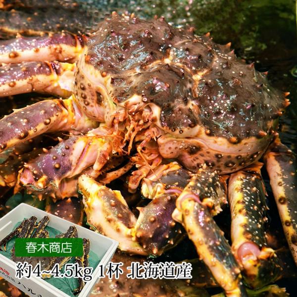 当店の扱うタラバガニは身入り抜群のものを厳選し取り扱っております。オホーツク海またはベーリング海域で獲れたタラバガニをお客様の元へ活きたままお客様へお届け。このタラバガニ一杯で食卓のメインになれること間違いなしです。蟹/カニ/タラバガニ/た...