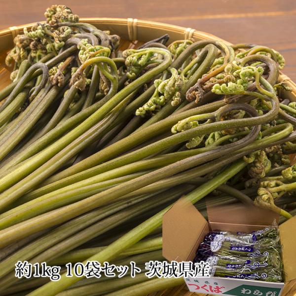 春の訪れを告げる山菜、その中でも大人気なのがワラビです。独特の歯ごたえが特徴。おひたし、和え物、煮物にと、食卓を美味しく彩ります。是非ご賞味くださいませ。山菜/さんさい/サンサイ/ワラビ/蕨/お取り寄せ/野菜/ギフト/贈答/プレゼント/産直...