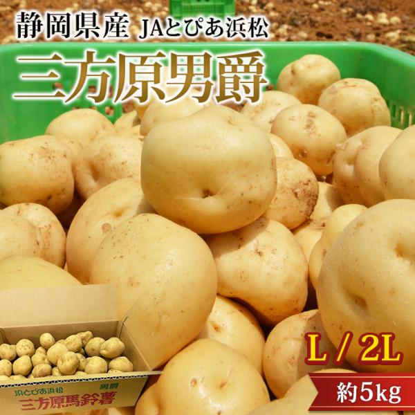 静岡県の三方原台地特有の赤土で育った馬鈴薯は、でんぷん質を多く含むため、ホクホクとした食感ときめ細やかな白い薄皮が特徴です。出荷のピークは5月末から7月中旬頃までです。おいしい旬の時期に是非お召し上がりください。男爵/男爵イモ/男爵いも/三...