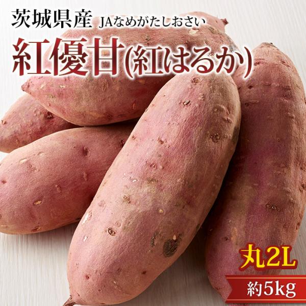 ねっとり系さつまいもの紅優甘（紅はるか）。食感が滑らかで糖度が高いことから、焼き芋用としても人気が高くなっている品種です。干し芋に加工されることも多く、様々なお料理の材料としてお楽しみいただけます。蒸したり、焼いたり、ご飯やお菓子の材料に・...