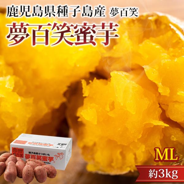 「蜜芋」とは種子島の夢百笑生産グループの約50件が栽培する安納芋で、収穫後の貯蔵熟成させた芋です。形状は丸みを帯びていて、焼き芋にすると果肉がしっとりとして、糖度が高いのが特徴。収穫量が他のさつまいもに比べて少ないため、希少価値の高い芋とな...