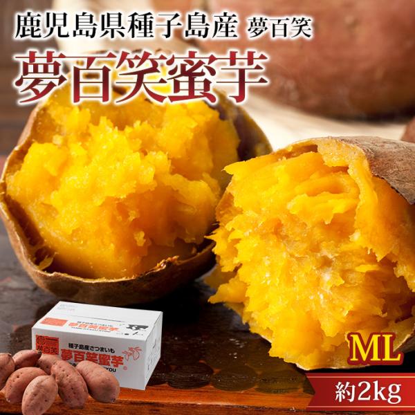 「蜜芋」とは種子島の夢百笑生産グループの約50件が栽培する安納芋で、収穫後の貯蔵熟成させた芋です。形状は丸みを帯びていて、焼き芋にすると果肉がしっとりとして、糖度が高いのが特徴。収穫量が他のさつまいもに比べて少ないため、希少価値の高い芋とな...