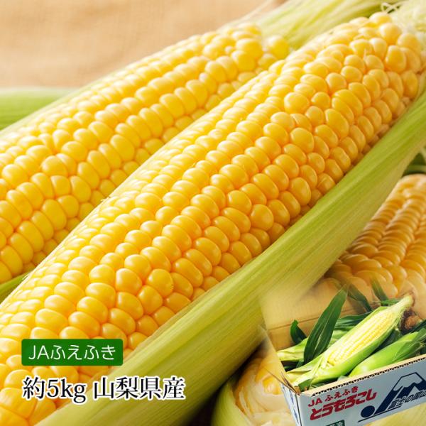 JAふえふきのゴールドラッシュは房が大きく粒皮もやわらかく、甘味が強いのでお子さまからお年寄りまで大人気！ラップにくるんで電子レンジで3〜4分するだけで手軽に簡単に食べられる“かんたんレシピ”がおすすめ。山梨県豊富の「ゴールドラッシュ」、是...