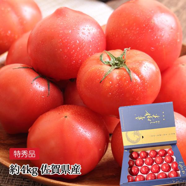 佐賀県川副町で丹精込めて育てられる大玉トマト。それが「光樹とまと」です。選果日ごとに、一玉一玉厳しく見極められ、JAの糖度検査、そして生産者自らによる食味評価。その厳しい基準を超えたものだけが、「三ツ星光樹とまと」として世に送り出されます。...