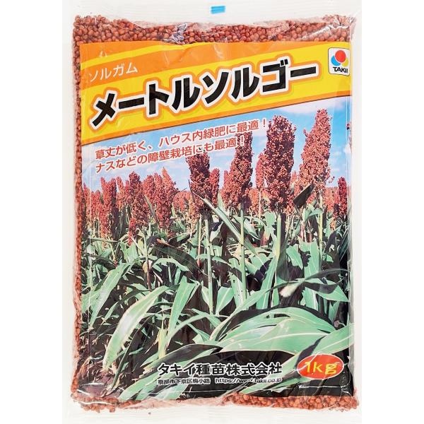 種類：ソルゴー　品種：メートルソルゴー説明メートルソルゴーは初期生育が早く、短期利用が可能で、草丈が1.2ｍから1.3ｍと低く、農業用ハウス内での緑肥作物としても利用されています。また、軽トラックでの運搬が容易です。ソルガムは耐暑性が高く、...