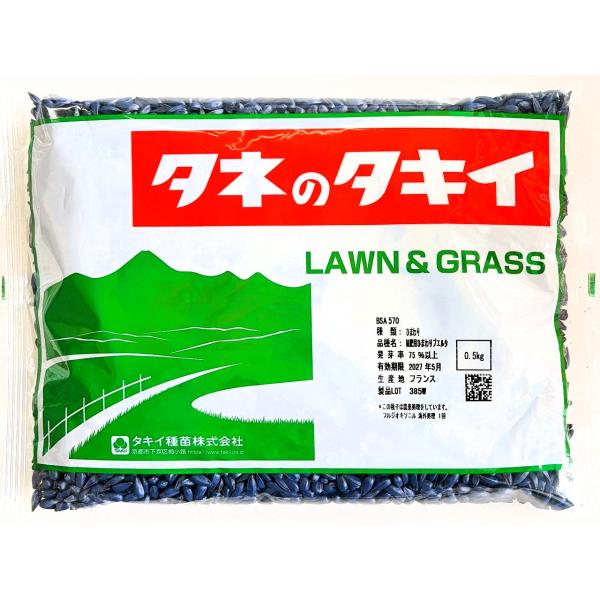 真夏に美しい大輪の花を咲かせ、景観用・緑肥用に適しています。休耕田などでイベント用にヒマワリを咲かせたりもできます。近年は町おこしなどで使われています。【特性】 初期生育が旺盛で、土壌の被覆が早く、雑草をよく抑えます。 開花期の草丈は180...