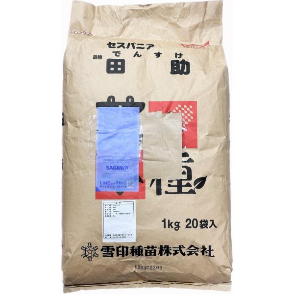 セスバニア　品種名：田助暖地型の一年生マメ科緑肥作物です。 耐湿性に優れ、水田転換畑での生育が旺盛で、直根で深部まで届きますので湿害のある圃場での排水性や通気性改善にも効果的です。 開花始めでの炭素率（C/N比）が低く、後作小麦等への窒素飢...