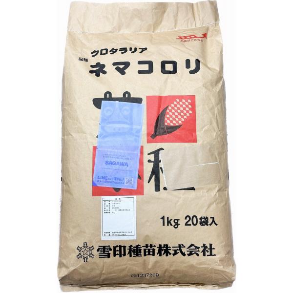 クロタラリア　品種名：ネマコロリクロタラリアはマメ科の夏の緑肥です。ソルガム類と比べると初期生育が緩やかですが根粒菌による窒素固定があるため窒素含有量は多くなります。 ネマコロリは、クロタラリア属の中では初期生育が早く、サツマイモネコブセン...