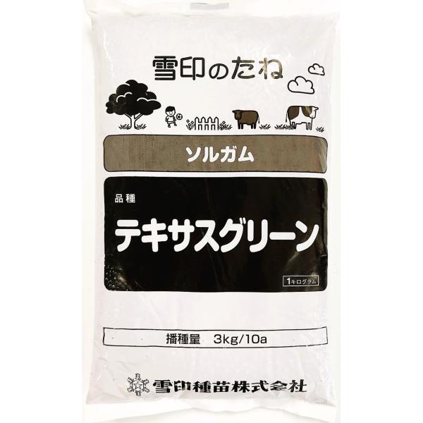種類 ソルガム　品種名：テキサスグリーンテキサスグリーンは比較的流通量が多く安価に緑肥として利用できます。草丈は160cm〜210cm。ソルガムは耐暑性が高く、高温を好む作物です。そのため、春〜夏まきに適します。秋まきからの冬越えはできませ...