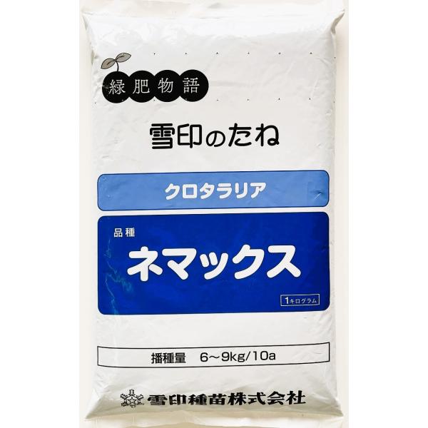 クロタラリア　品種名：ネマックスクロタラリアはマメ科の夏の緑肥です。ソルガム類と比べると初期生育が緩やかですが根粒菌による窒素固定があるため窒素含有量は多くなります。 ネマックスは、多くの種類のセンチュウに抑制効果を発揮し、夏場の地力増進作...
