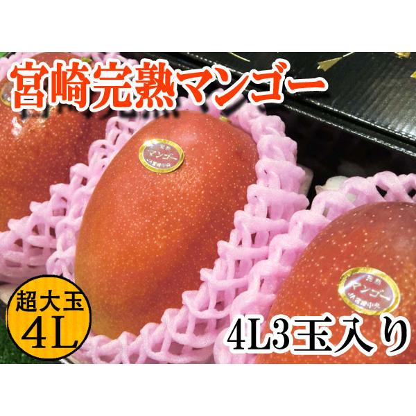 極上の旨みジューシーでとろけるような果肉！素晴らしく上品で甘い香りの宮崎完熟マンゴーです！どんな果物でも、母なる樹の栄養をたくさんもらっておいしくなるため、樹から離れるときが一番おいしいとされています。宮崎のマンゴーは、その瞬間を逃さないよ...