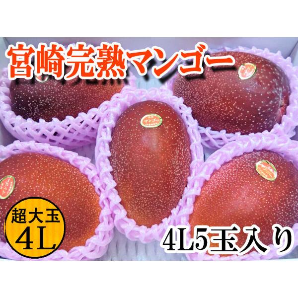 極上の旨みジューシーでとろけるような果肉！素晴らしく上品で甘い香りの宮崎完熟マンゴーです！どんな果物でも、母なる樹の栄養をたくさんもらっておいしくなるため、樹から離れるときが一番おいしいとされています。宮崎のマンゴーは、その瞬間を逃さないよ...
