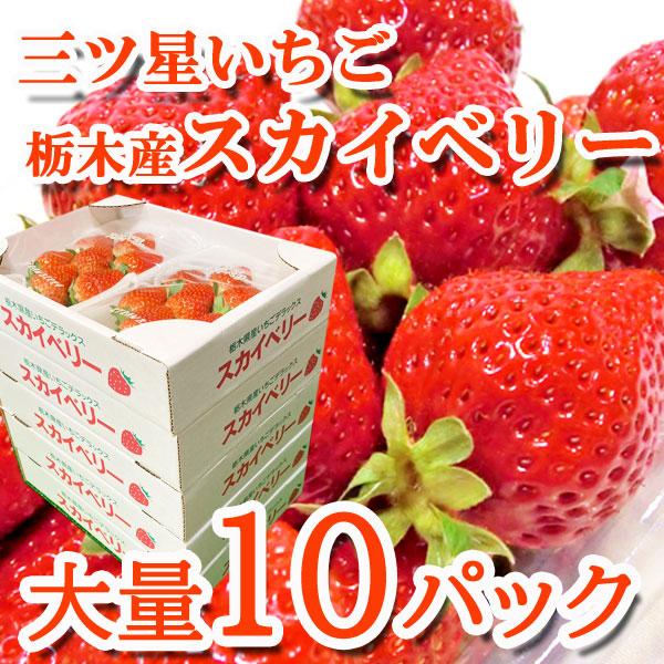 「いちご王国とちぎ」の高級いちご『スカイベリー』です。栃木県はいちごの収穫量日本一を誇る「いちご王国」です。「いちご王国とちぎ」が誇る高級いちご『スカイベリー』ベリーおおきい・ベリーきれい・ベリーおいしい♪ 三ツ星いちごスカイベリー 天空ベ...