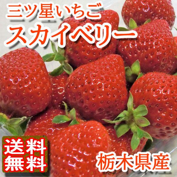 「いちご王国とちぎ」の高級いちご『スカイベリー』です。栃木県はいちごの収穫量日本一を誇る「いちご王国」です。「いちご王国とちぎ」が誇る高級いちご『スカイベリー』ベリーおおきい・ベリーきれい・ベリーおいしい♪ 三ツ星いちごスカイベリー 天空ベ...