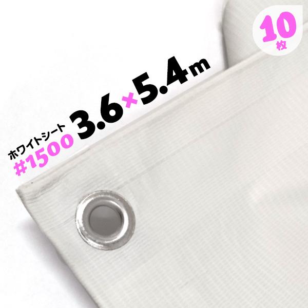 ホワイトシート #1500薄手 軽量建築現場 や 内装工事 塗装養生 で 使用される 白色 の ブルーシート軽量 で 薄手 の 短期養生 ワンウェイ ホワイトシート用　途★ 内装工事 や リフォーム の 壁面 床面 の 養生シート★ 建設現...