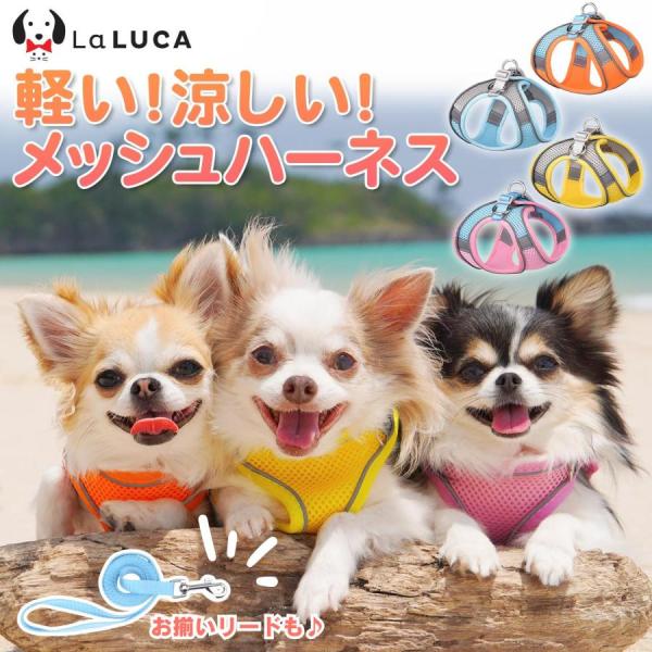 【軽い！涼しい！メッシュハーネス】--ブランド名--LaLUCA ラルカ らるか ラルーカ らるーか関連キーワード：ペット用 カラフル 通気性抜群 薄手 メッシュハーネス お洋服の上から着用可 調整しやすい マジックベルト 細やかなサイズ調...