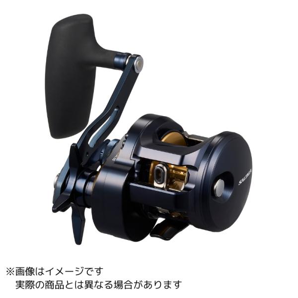 ●DAIWA●商品名：SALTIGA 300●詳細「いつか、あの魚を。」アングラーの夢を叶えるために誕生したもの、「SALTIGA」。近海のジギングシーンを制する。アイテム：300標準自重(ｇ)：420巻き取り長さ(cm/ハンドル1回転)：...