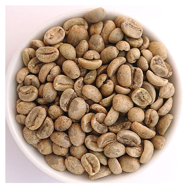 ニカラグアはコスタリカの北西に位置し、カリブ海と太平洋に面した中米を代表する農業国です。熱帯気候帯に属しますが、標高や地域により様々な気候特徴を持つため驚くほど多様な生態系と自然にあふれています。コーヒーの圃場は標高1,500〜2,000?...