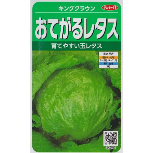 ★育てやすい玉レタス〜乾燥や湿害に強い