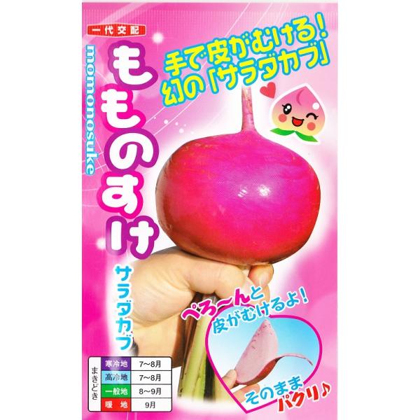 ★手で綺麗にひと皮むける、サラダカブ