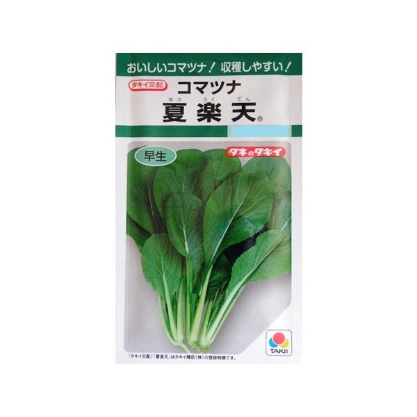 ★【早生】おいしいコマツナ！収穫しやすい！