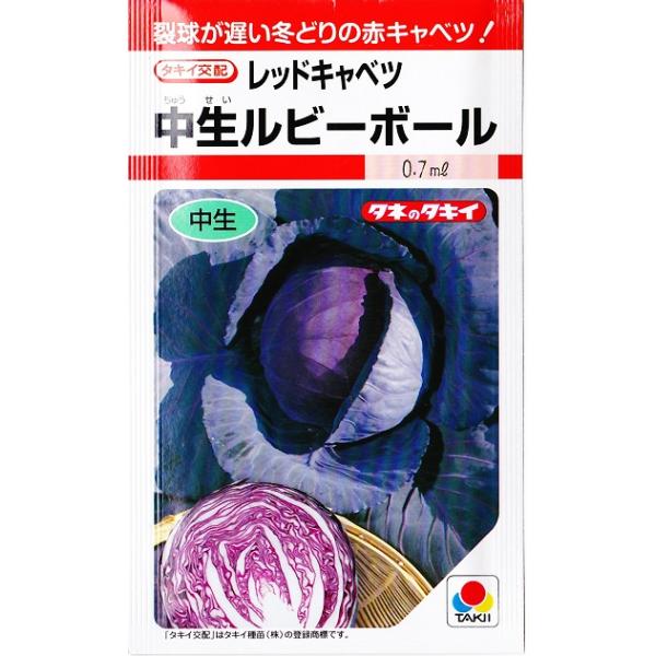 【中生】裂球が遅い冬どりの赤キャベツ