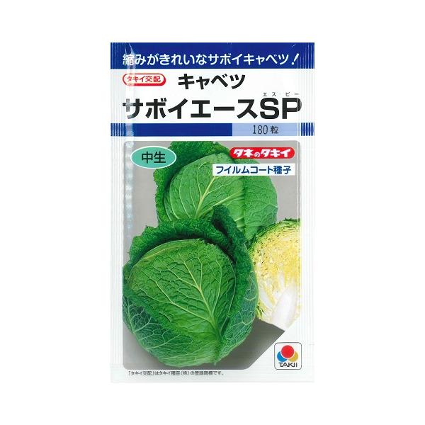 ★縮みがきれいなサボイキャベツ