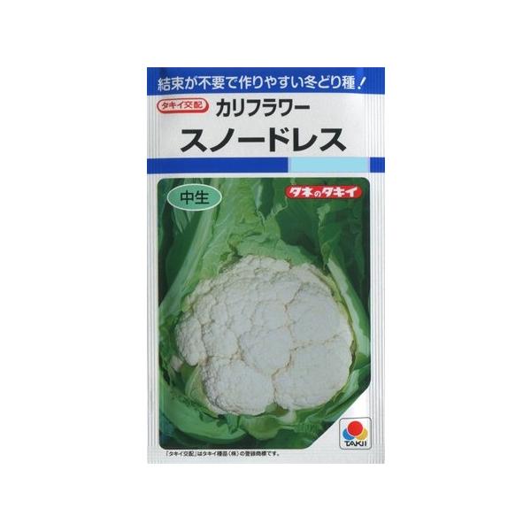 ★【中生】結束が不要で作りやすい冬どり種！