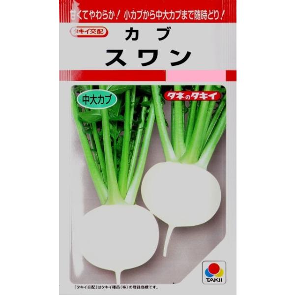 ★甘くてやわらか！小カブから中大カブまで随時どり