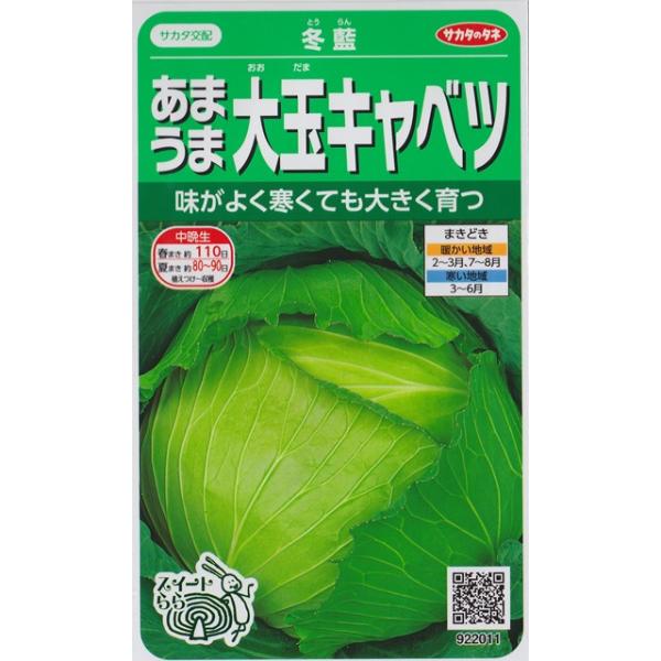 ★どっしり!大きく育ち、サクッとおいしさ満点