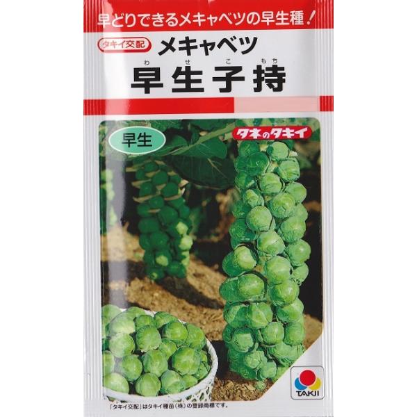 ★生育旺盛で、作りやすい早生種